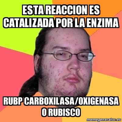 Meme Friki - esta reaccion es catalizada por la enzima rubp carboxilasa ...