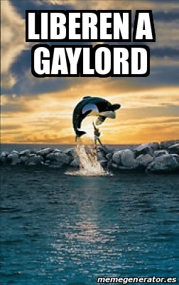 Gaylord Meme