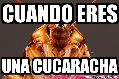 Meme Personalizado - Cuando eres una cucaracha - 29997849