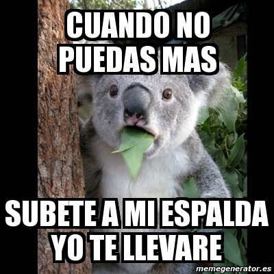 Meme Koala - cuando no puedas mas subete a mi espalda yo te llevare ...