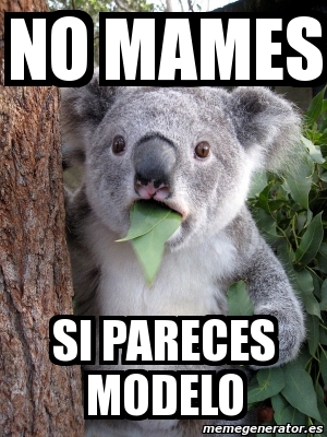 Meme Personalizado - nO MAMES SI PARECES MODELO - 3003050