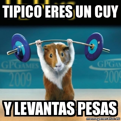 Meme Personalizado - Tipico eres un cuy y levantas pesas - 3100942