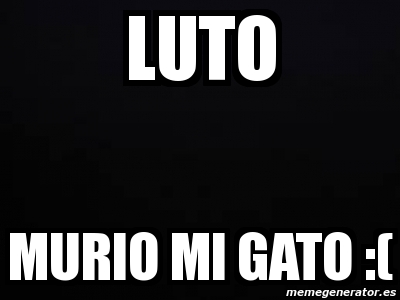 Meme Personalizado - luto murio mi gato :( - 3101936