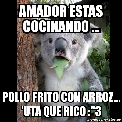 Meme Koala - AMADOR ESTAS COCINANDO ... pollo frito con arroz... 'uta ...
