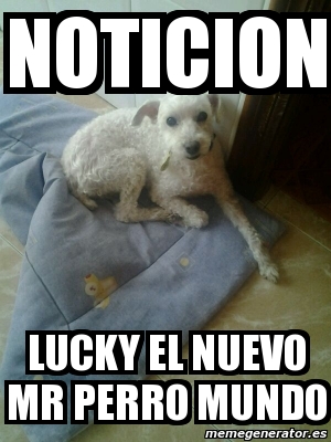 Meme Personalizado - NOTICION LUCKY EL NUEVO MR PERRO MUNDO - 3160068