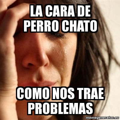 Meme Problems - la cara de perro chato como nos trae problemas - 3164198