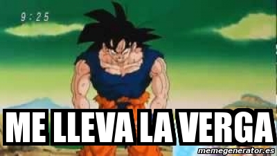 Meme Personalizado - me lleva la verga - 3167640