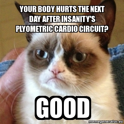 Meme Grumpy Cat - YOUR BODY HURTS THE NEXT DAY AFTER INSANITY'S ...