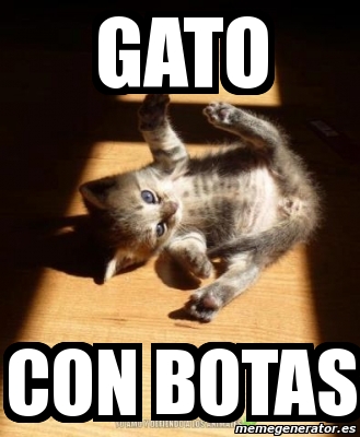 Meme Personalizado - gato con botaS - 3027575