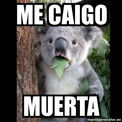 Meme Koala - ME CAIGO muerta - 3218970