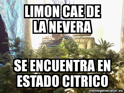 Meme Personalizado - limon cae de la nevera se encuentra en estado ...