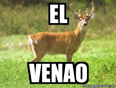 Meme Personalizado - EL VENAO - 3229423