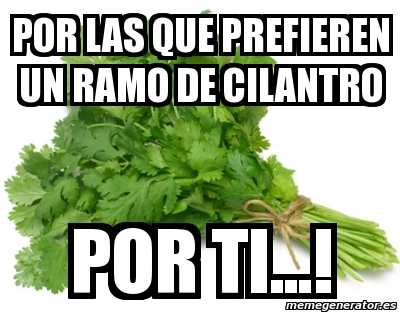 Meme Personalizado - POR LAS QUE PREFIEREN UN RAMO DE CILANTRO POR TI ...