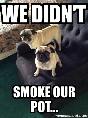 Meme Personalizado - we didn't smoke our pot... - 3254881