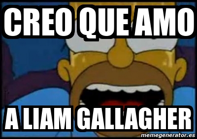 Meme Personalizado - CREO QUE AMO A LIAM GALLAGHER - 3263985