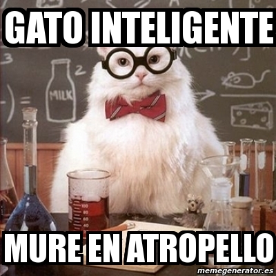 Meme Chemistry Cat - gato inteligente mure en atropello - 3271385