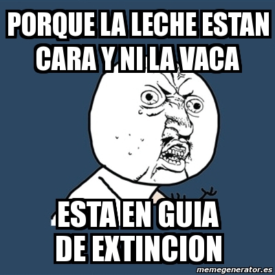 Meme Y U No - porque la leche estan cara y ni la vaca esta en guia de ...