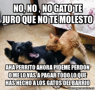 Meme Personalizado - no, no , no gato te juro que no te molesto aha ...