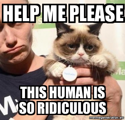 Meme Personalizado - Help me please This human is so ridiculous - 3292642