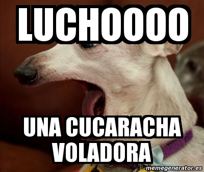 Meme Personalizado - luchoooo una cucaracha voladora - 3302725