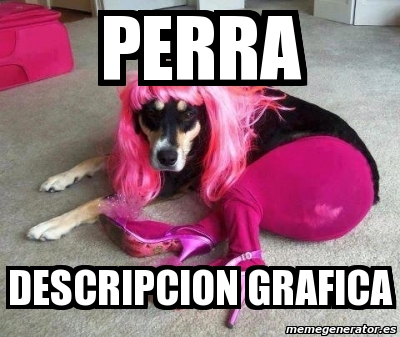 Meme Personalizado - perra descripcion grafica - 3314010