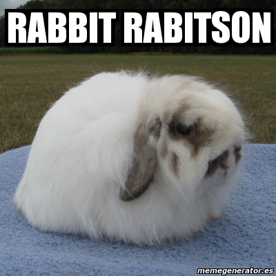 Meme Personalizado - rabbit rabitson - 3328217