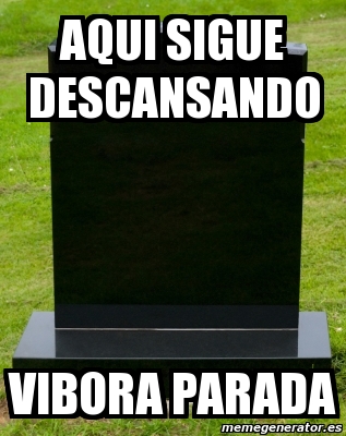 Meme Personalizado - Aqui sigue descansando vibora parada - 3339788
