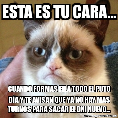 Meme Grumpy Cat - ESta es tu cara... cuando formas fila todo el puto dÃ ...