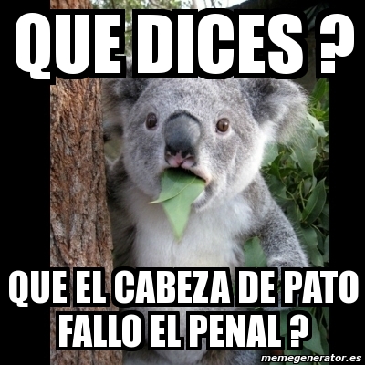 Meme Koala - QUE DICES ? QUE EL CABEZA DE PATO FALLO EL PENAL ? - 3419469
