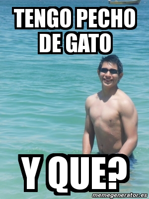 Meme Personalizado - TENGO PECHO DE GATO Y QUE? - 3433449