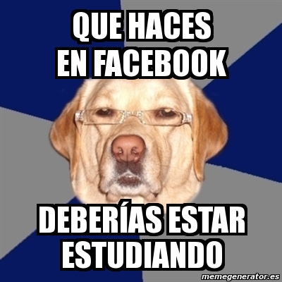 Meme Perro Racista - que haces en facebook DEBERÃ AS estar estudiando ...