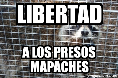 Meme Personalizado - LIBERTAD A LOS PRESOS MAPACHES - 3442736
