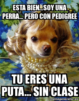 Meme Personalizado - esta bien...soy una perra... pero con pedigree tu ...