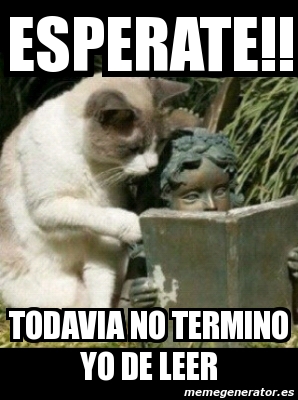 Meme Personalizado - Esperate!! todavia no termino yo de leer - 3470870