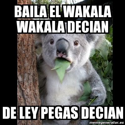 Meme Koala - Baila el wakala wakala decian de ley pegas decian - 3472035