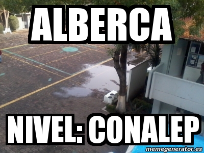 Meme Personalizado - alberca nivel: conalep - 3475003
