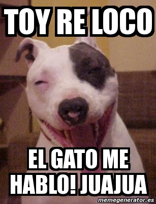 Meme Personalizado - toy re loco el gato me hablo! juajua - 3479553