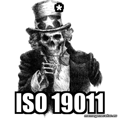 Meme Personalizado - * ISO 19011 - 3481998