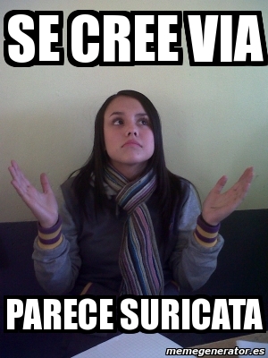 Meme Personalizado - se cree via parece suricata - 3487926