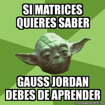Meme Yoda - SI MATRICES QUIERES SABER gauss jordan DEBES DE APRENDER ...