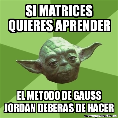 Meme Yoda - SI MATRICES QUIERES APRENDER EL METODO DE gauss jordan ...