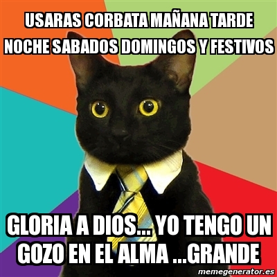 Memes Gato Corbata