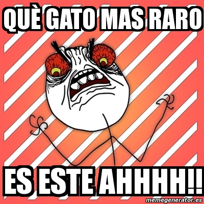 Meme I Hate - QUÃˆ GATO MAS RARO ES ESTE AHHHH!! - 3524276