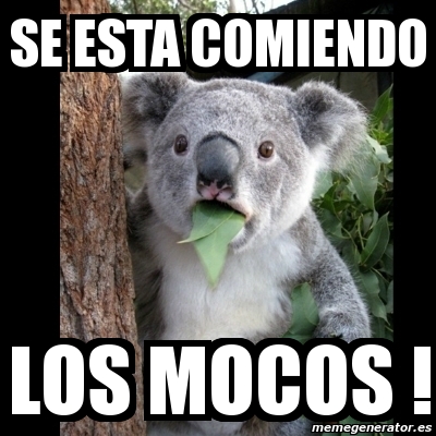 Memes Come Mocos 琦玉老师on X: "@elonmusk $MOCO Real Meme ！ca