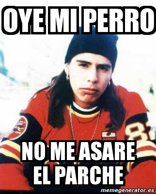Meme Personalizado - oye mi perro no me asare el parche - 3554320