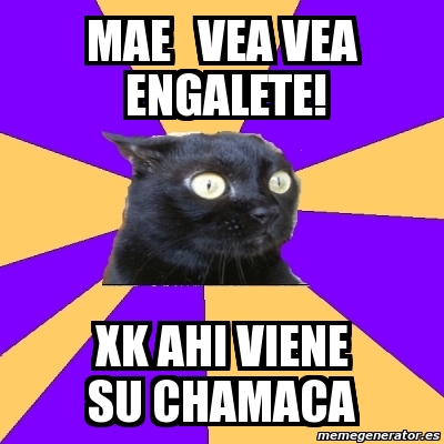 Meme Anxiety Cat - mae vea vea engalete! xk ahi viene su chamaca - 3580807