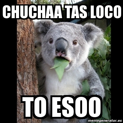 Meme Koala - Chuchaa tas loco to esoo - 3589105