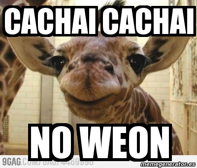 Meme Personalizado - cachai cachai no weon - 3062465