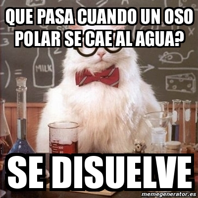 Meme Chemistry Cat - Que pasa cuando un oso polar se cae al agua? Se ...