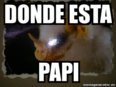 Meme Personalizado - donde esta Papi - 3068437